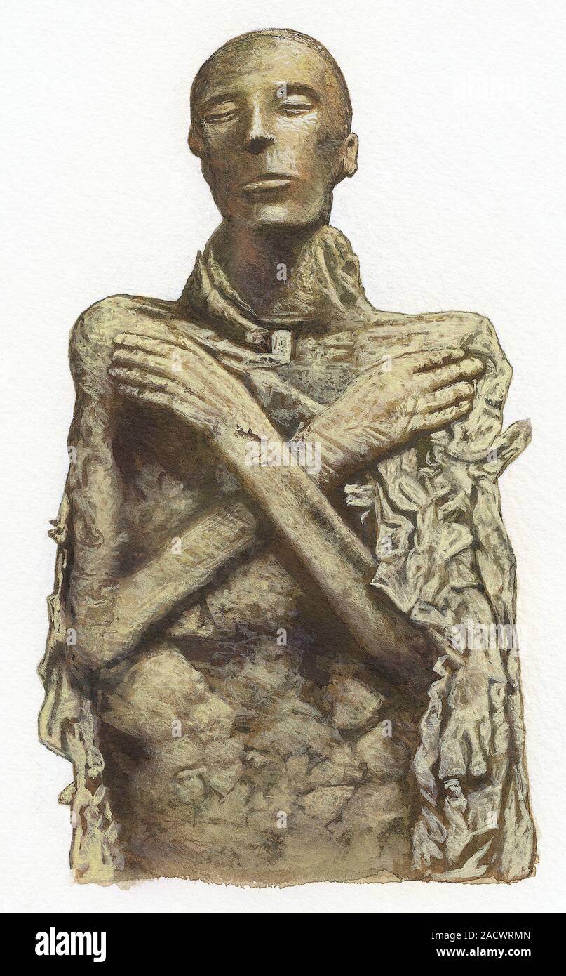 Mummy of King Seti I Stock Photo - Alamy