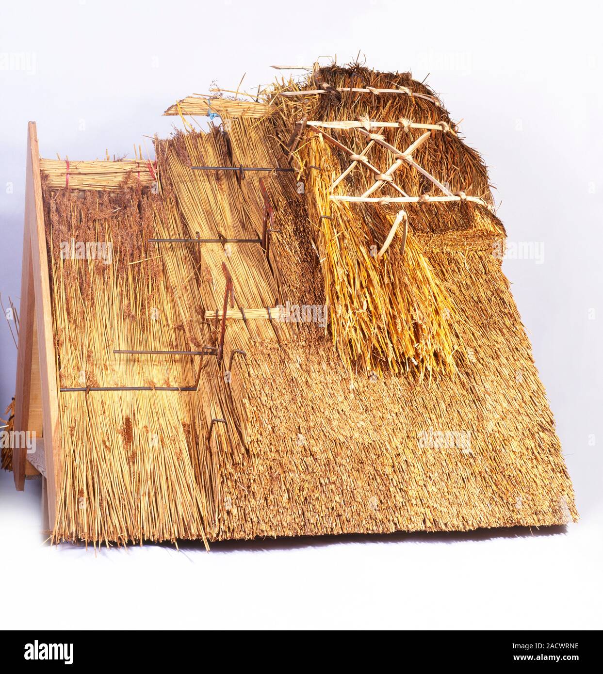 Building a thatched roof, model Stock Photo - Alamy
