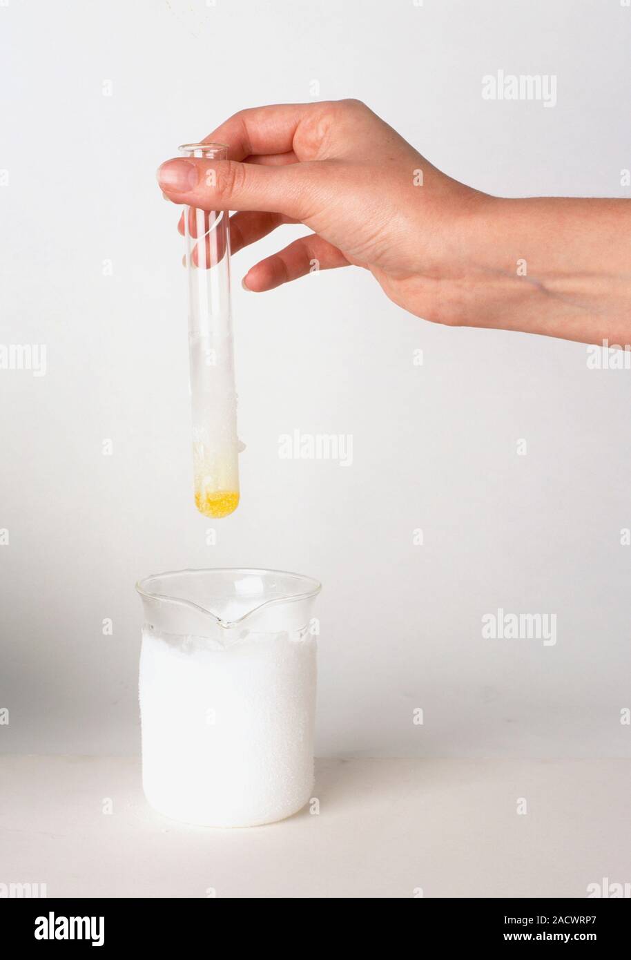 Test tube of chlorine condensed into liquid by dipping into jug of dry ...