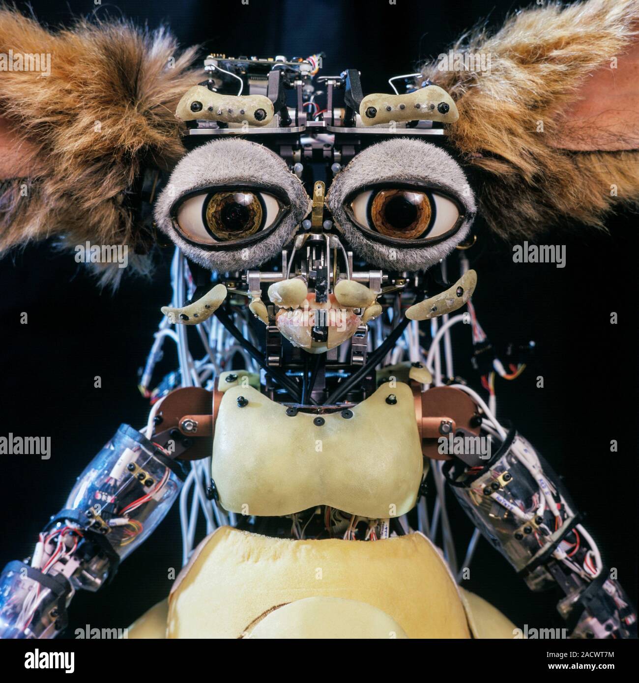 Leonardo robot. Leonardo is combination of animatronics and social ...