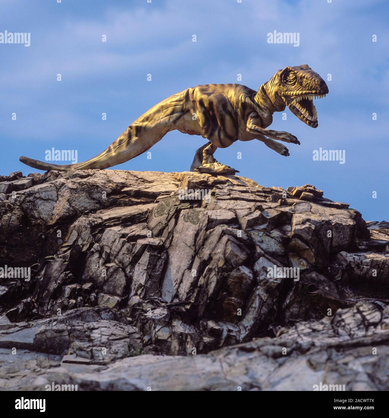 Toy dinosaur robot. Prototype toy robot dinosaur developed by engineers ...