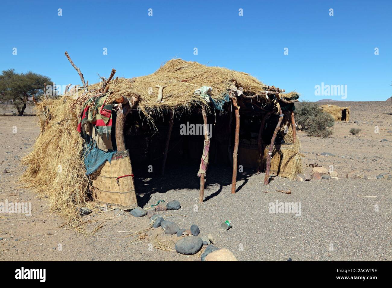 Desert shelter, with a framework of tree branches and a roof of thatch ...