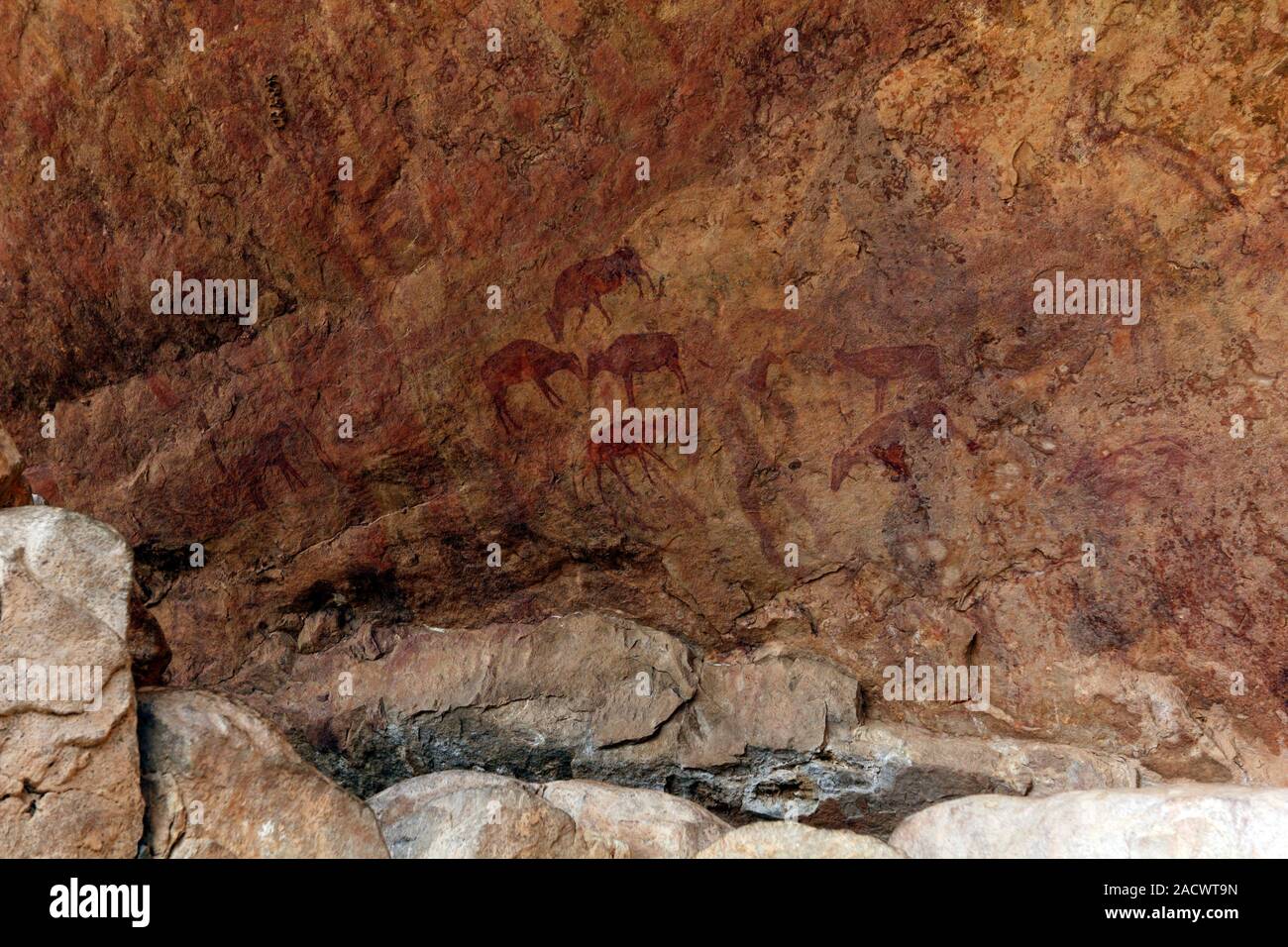 Saharan rock painting. Ancient paintings of animals on desert rocks ...
