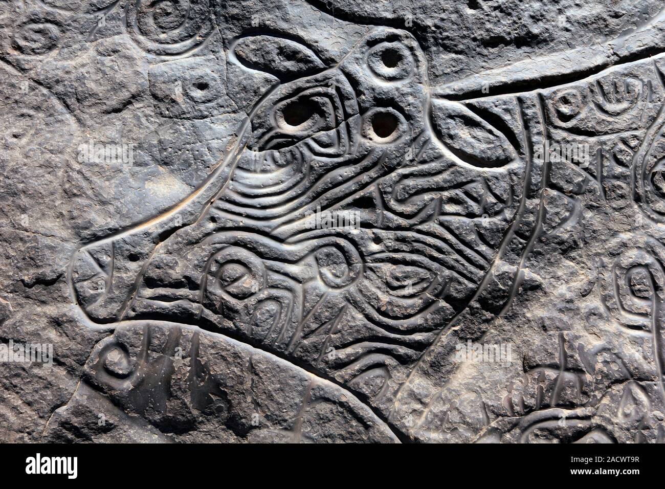 Saharan cow rock carving. Close-up of the head of a 'curled' cow in ...