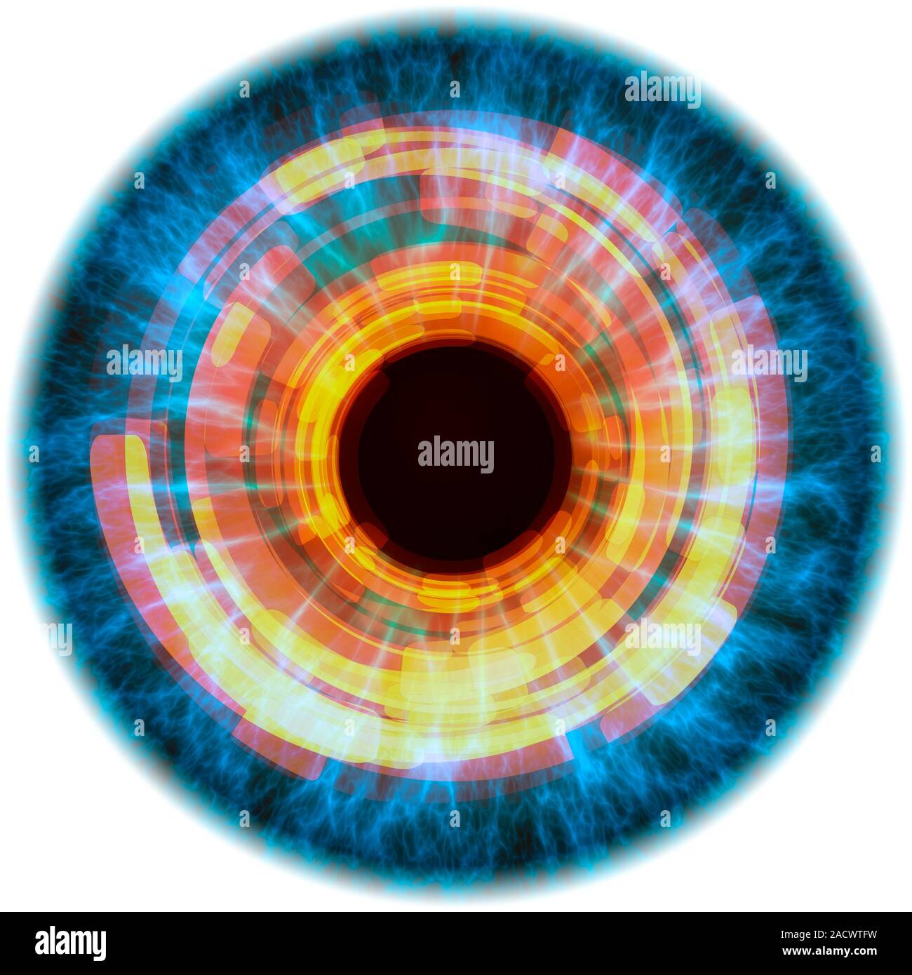 Biometric eye scan. Computer artwork of a human eye being scanned ...