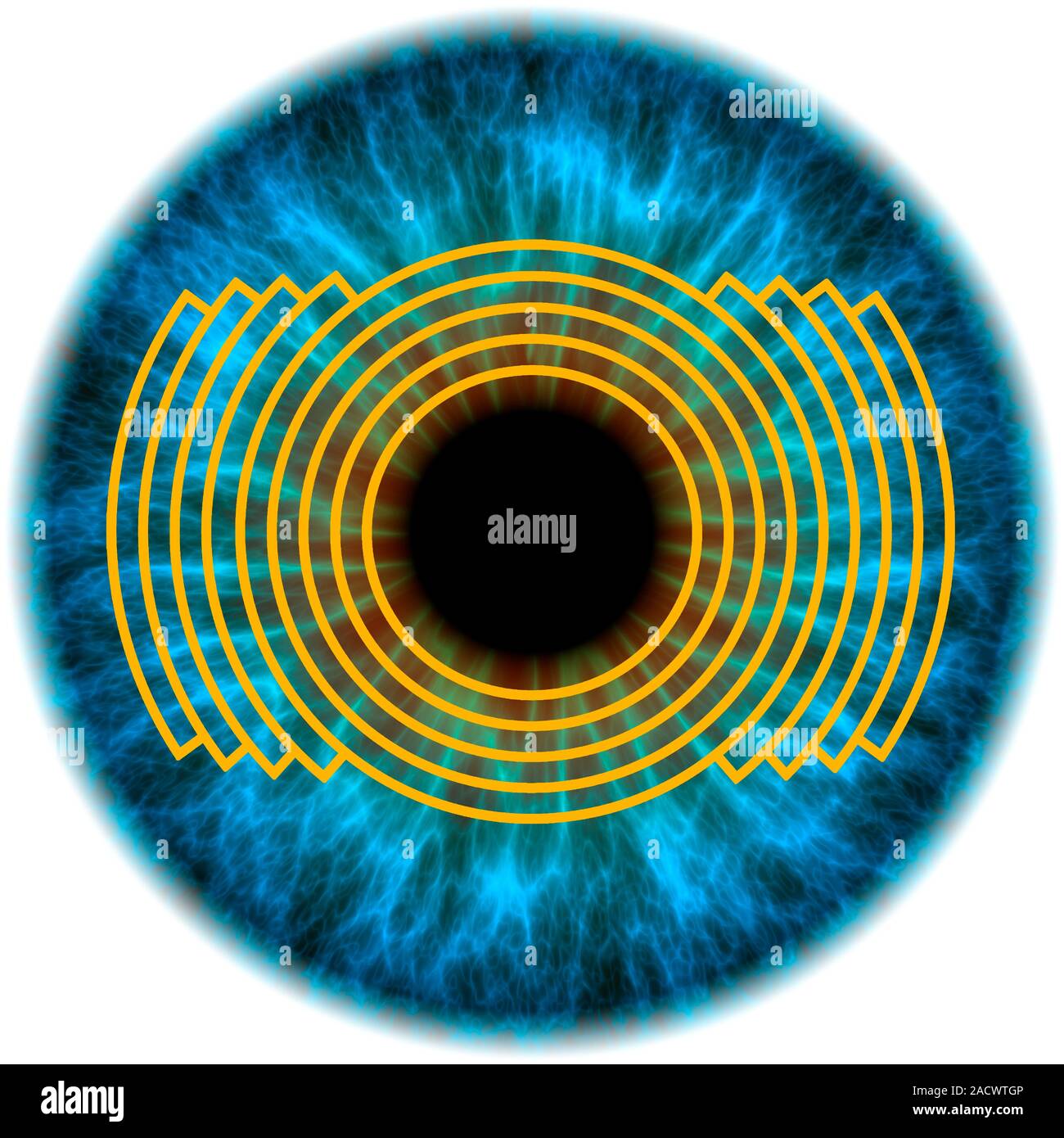 Biometric Eye Scan Computer Artwork Of A Human Eye Being Scanned