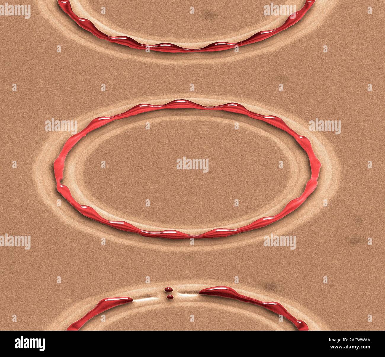 Metal dewetting. Nickel annular rings (red) created by a combination of ...