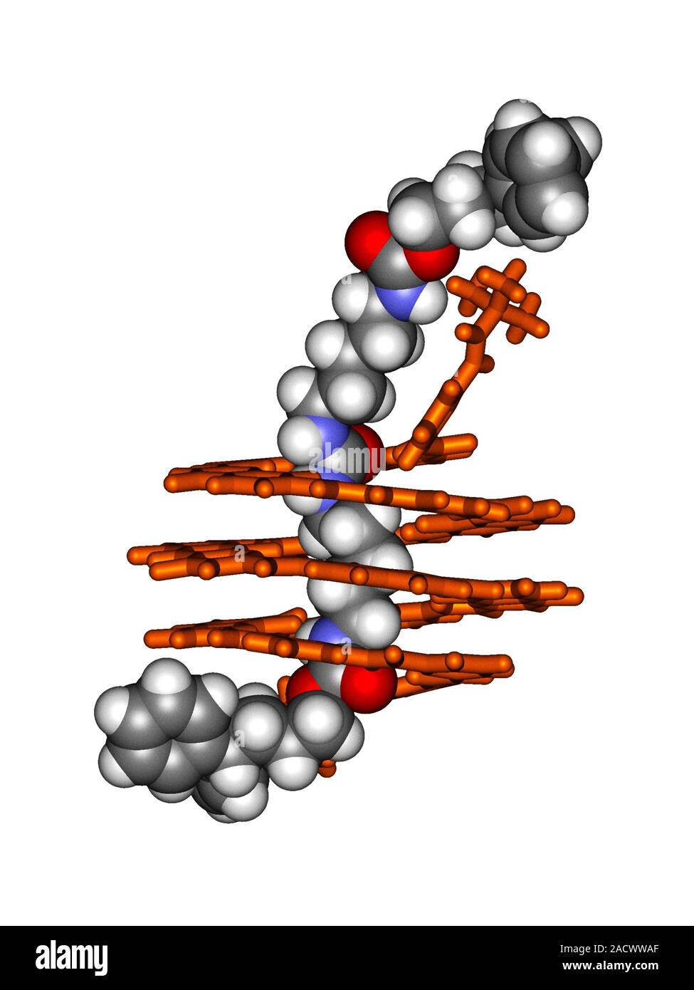 Helical self-assembly, molecular model. This type of molecule is known ...