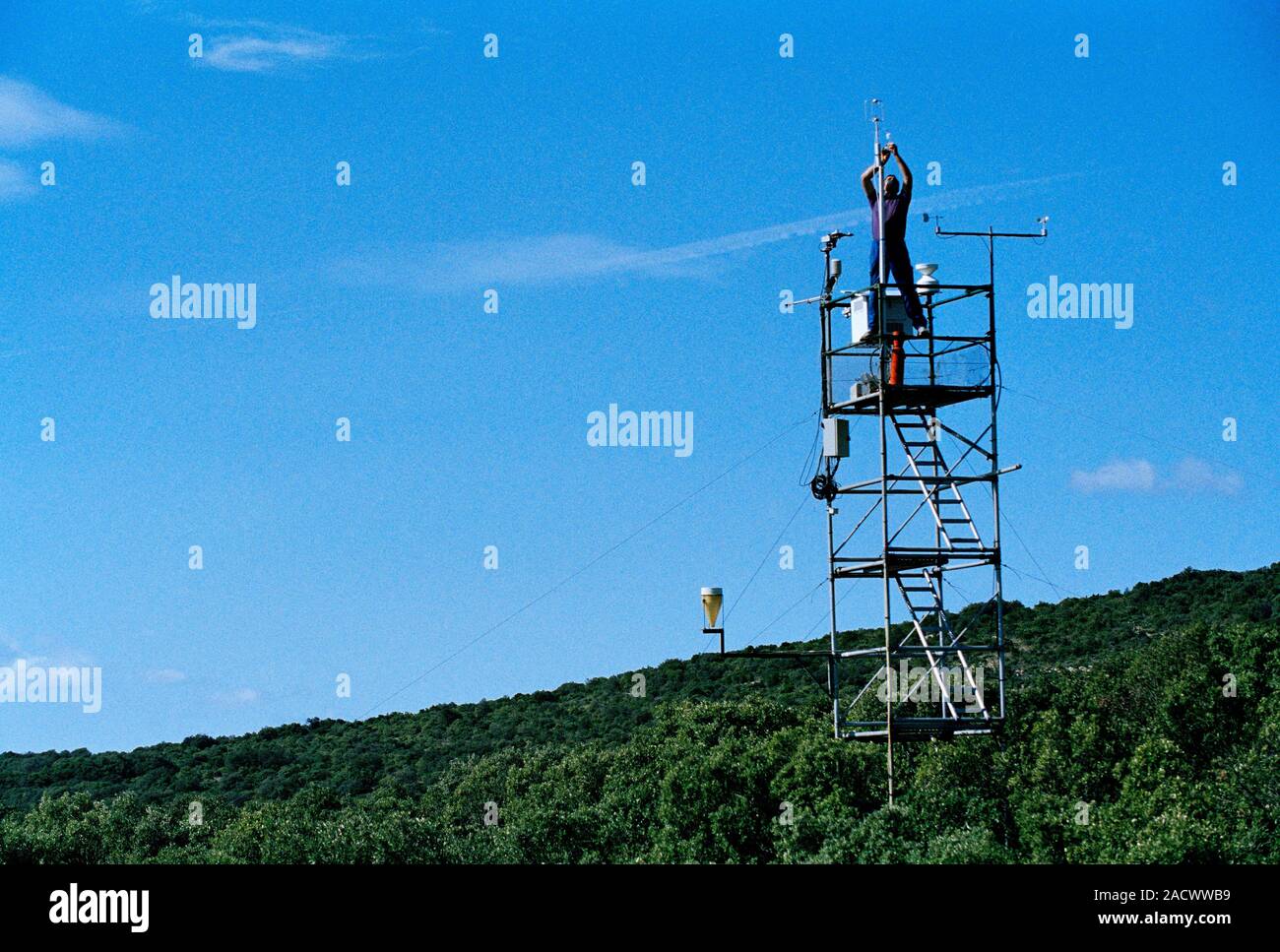 Treetop forest laboratory. Researcher in a forest laboratory checking ...