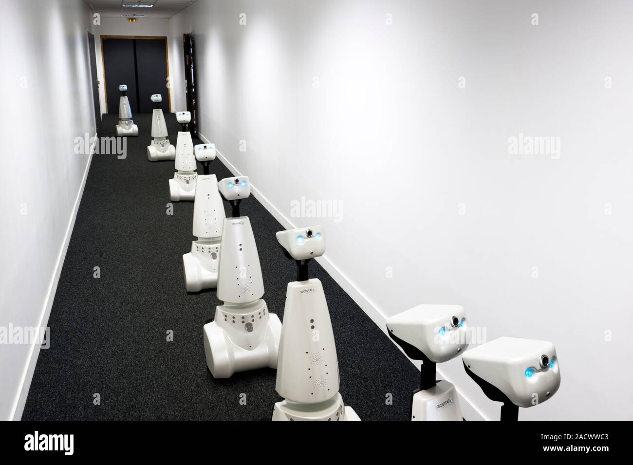 Telepresence robot. Montage of images showing a telepresence robot ...