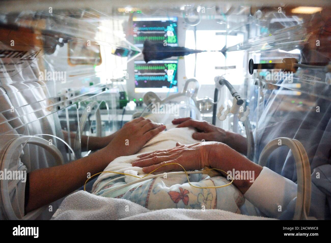 Premature baby and parents. Parents interacting with their premature ...