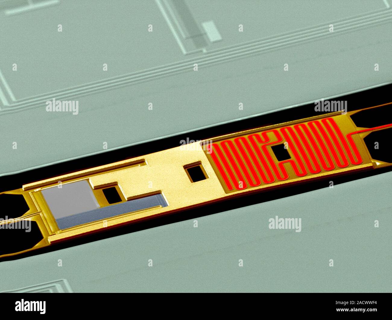 BICEP2 detector, coloured scanning electron micrograph (SEM). This ...