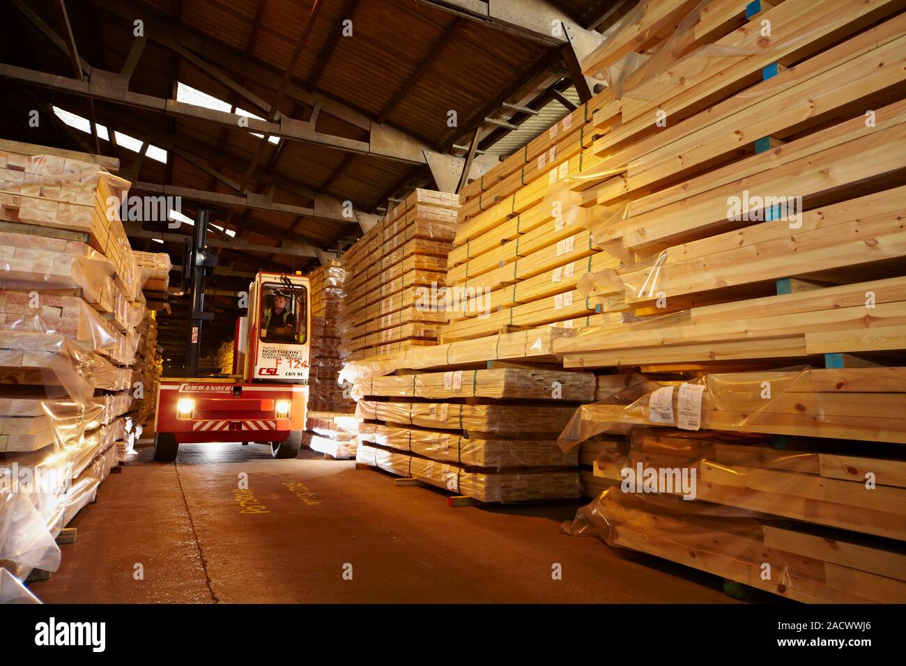 Timber planks stacked in large industrial wood shed with side loader ...