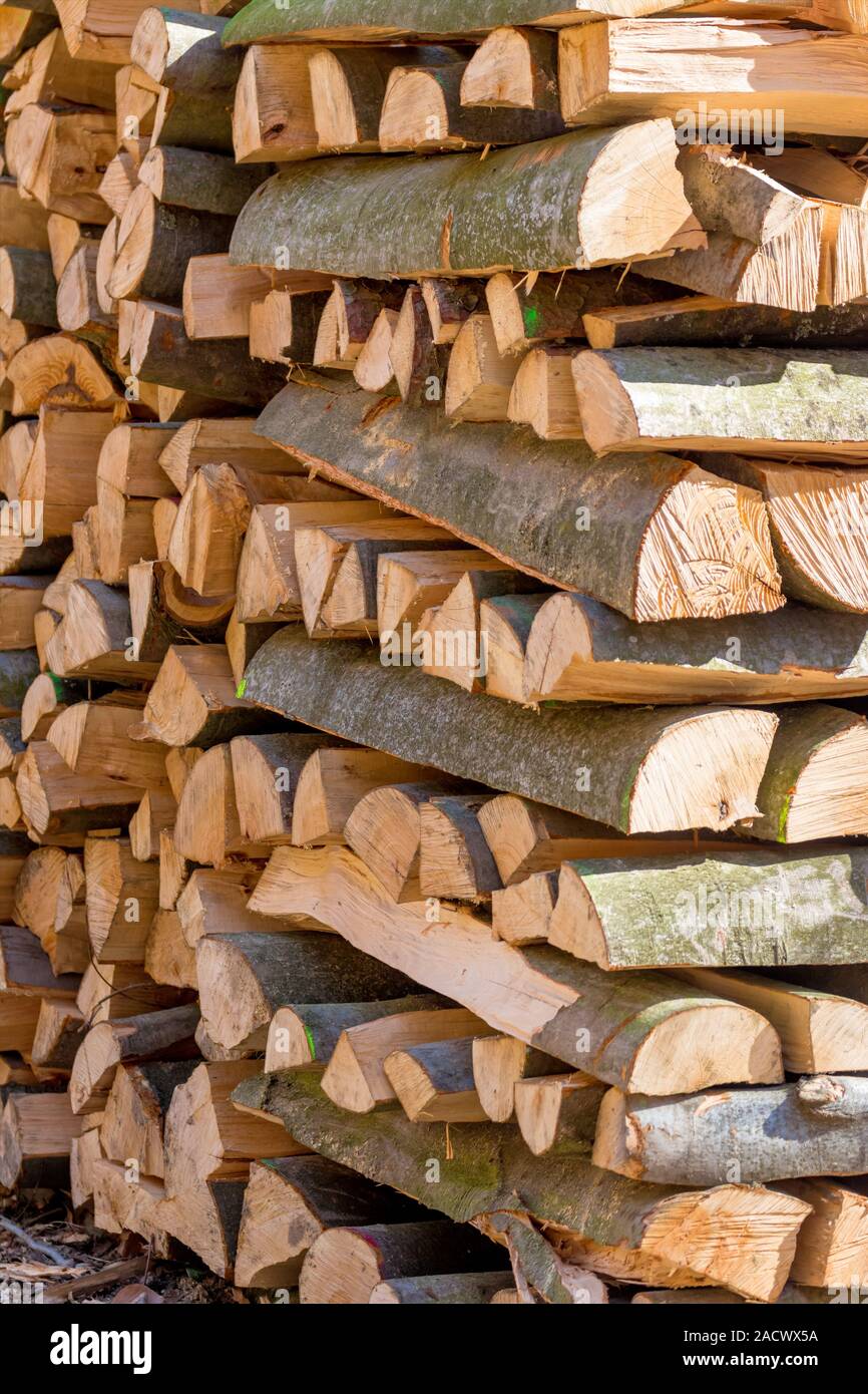 Trunks cut to size Stock Photo - Alamy