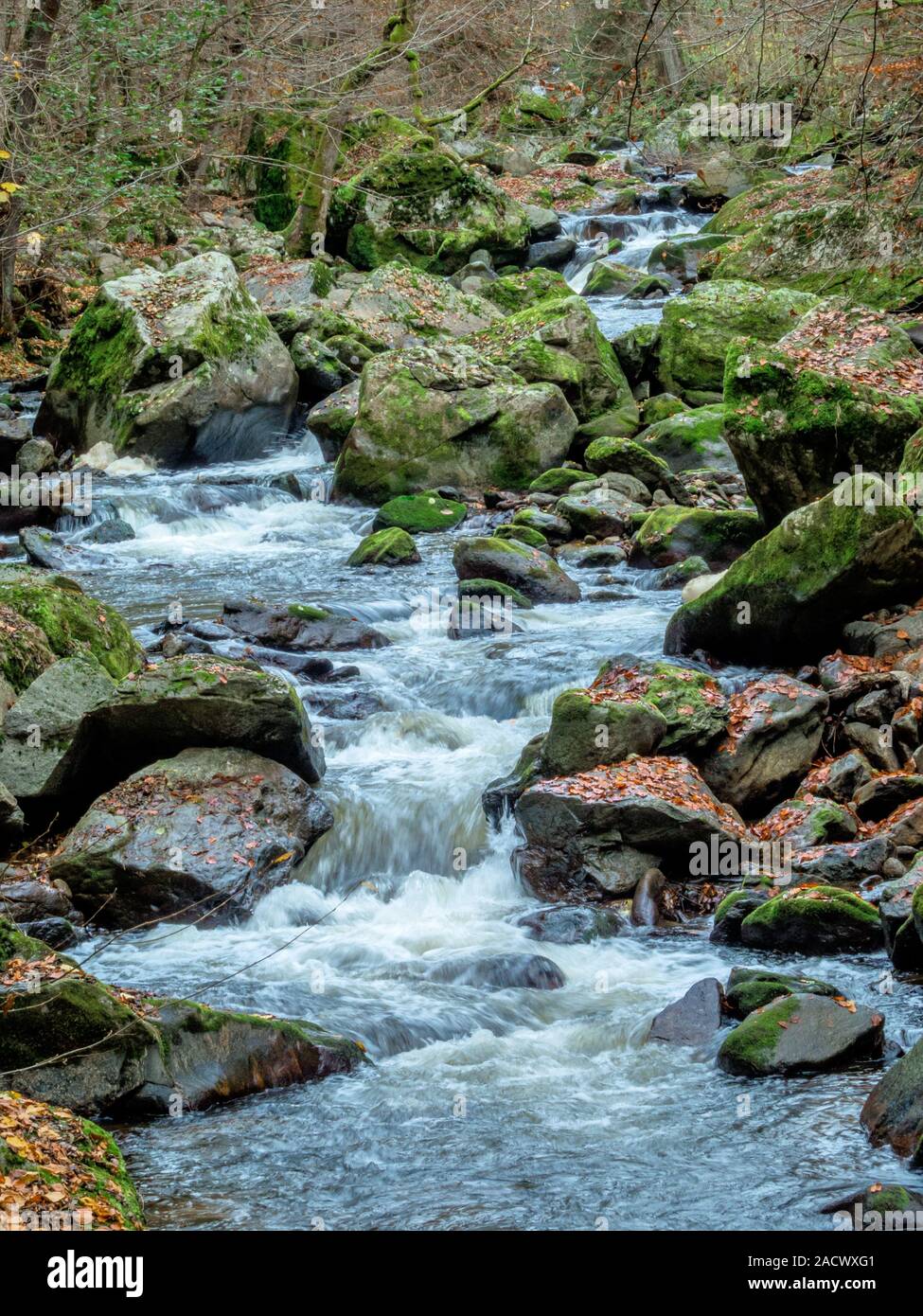 Stream with running water Stock Photo - Alamy