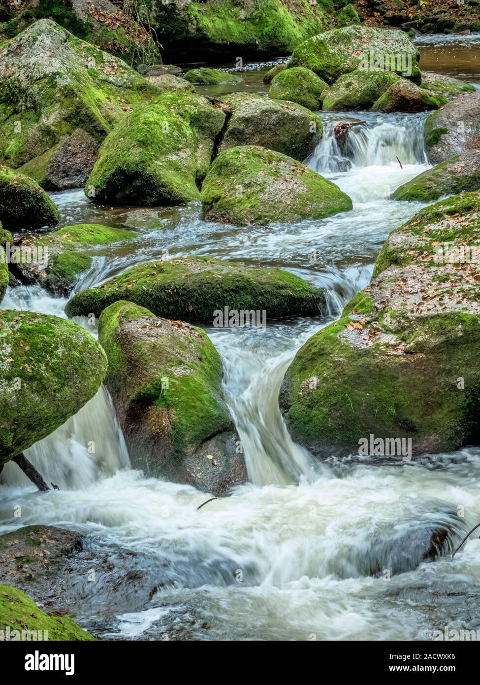 Stream with running water Stock Photo - Alamy
