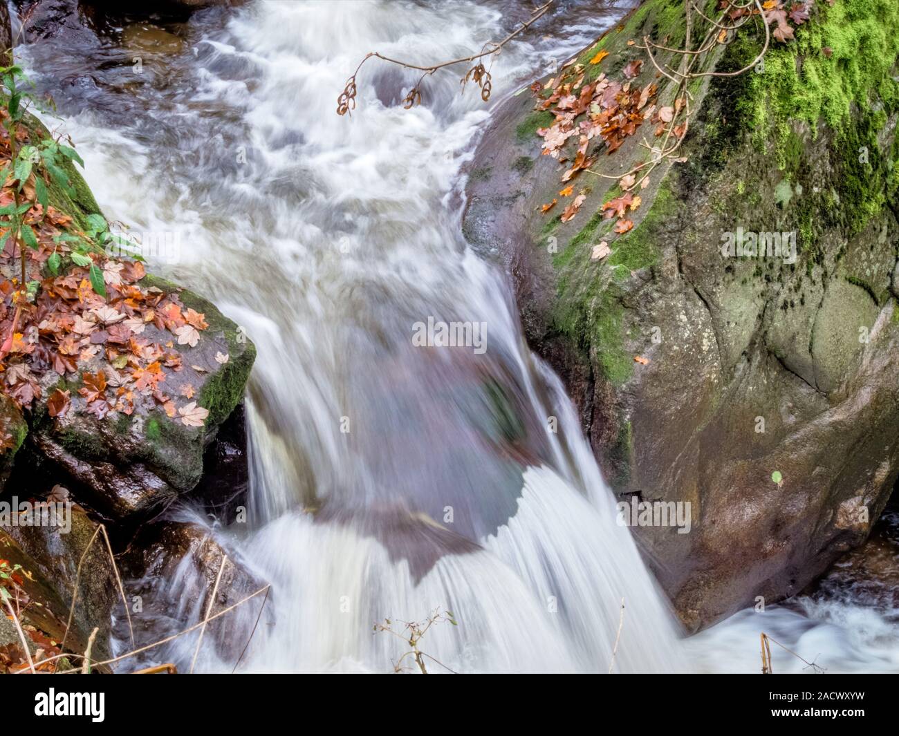 Stream with running water Stock Photo - Alamy