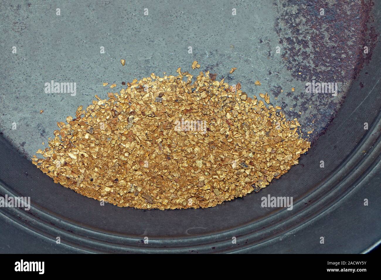 Panned gold. Raw gold panned from the Salzach river, Austria Stock ...