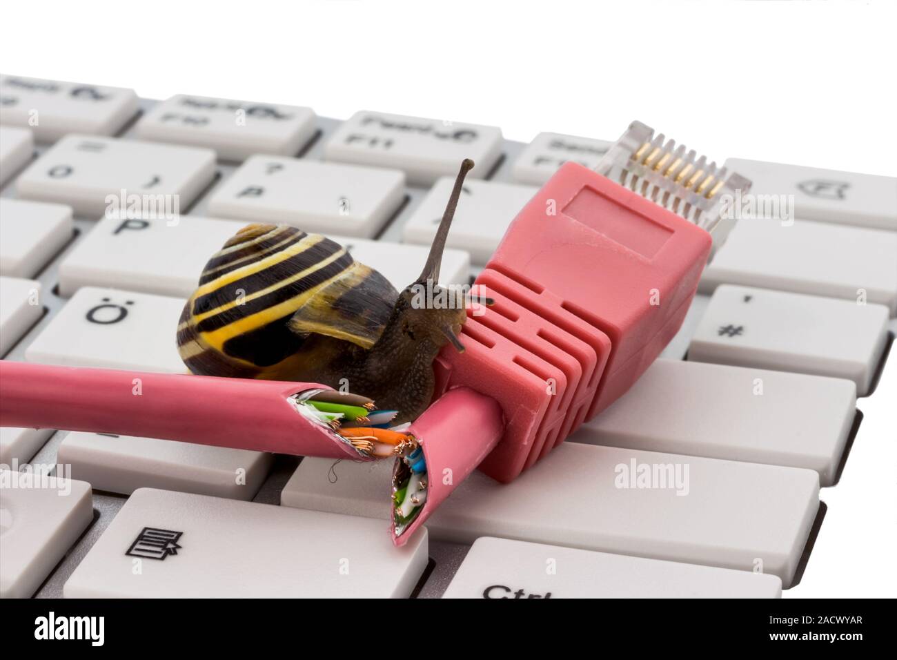 Slow Internet Access Stock Photo - Alamy