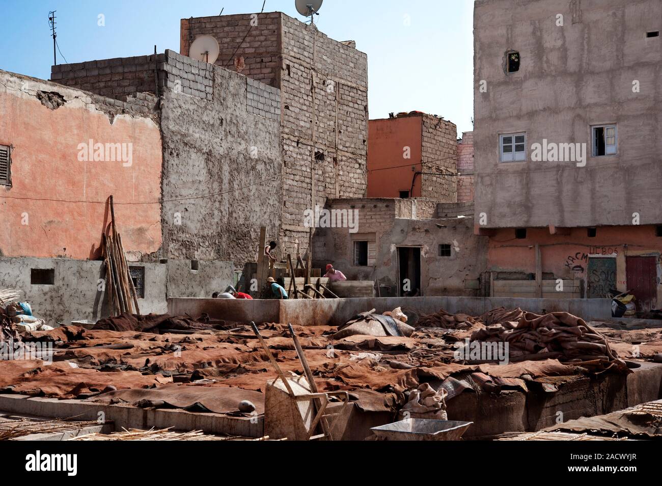 Tannery. Animal skins being dried and cured in the sun to form leather ...