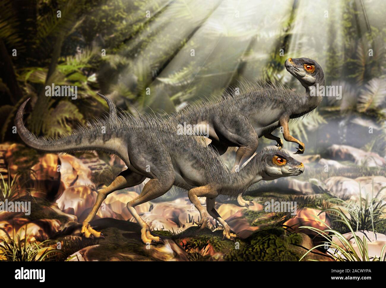 Tianyulong confuciusi dinosaurs, artwork. The fossils of this ...