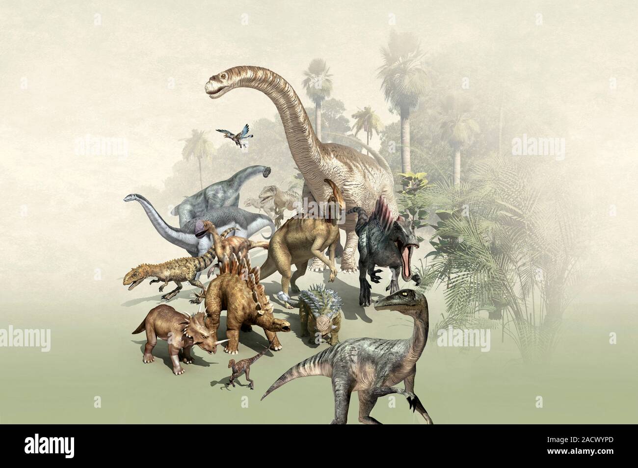 Group of dinosaurs, artwork. Three sauropod dinosaurs are shown (long ...
