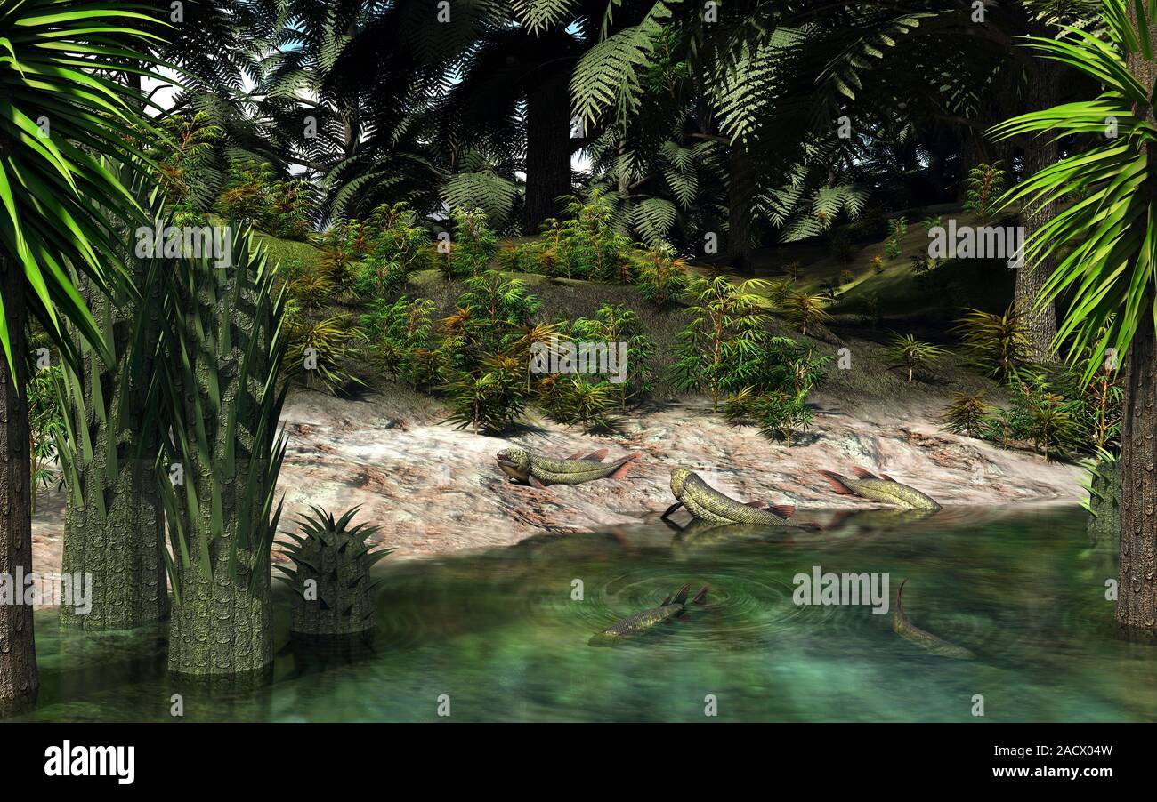 Artwork of primitive lungfish of the genus Dipterus emerging from a ...