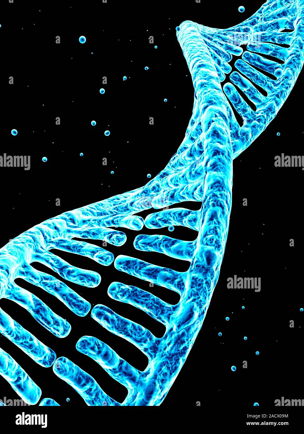 Stylized view of strands of human DNA or deoxyribonucleic acid ...
