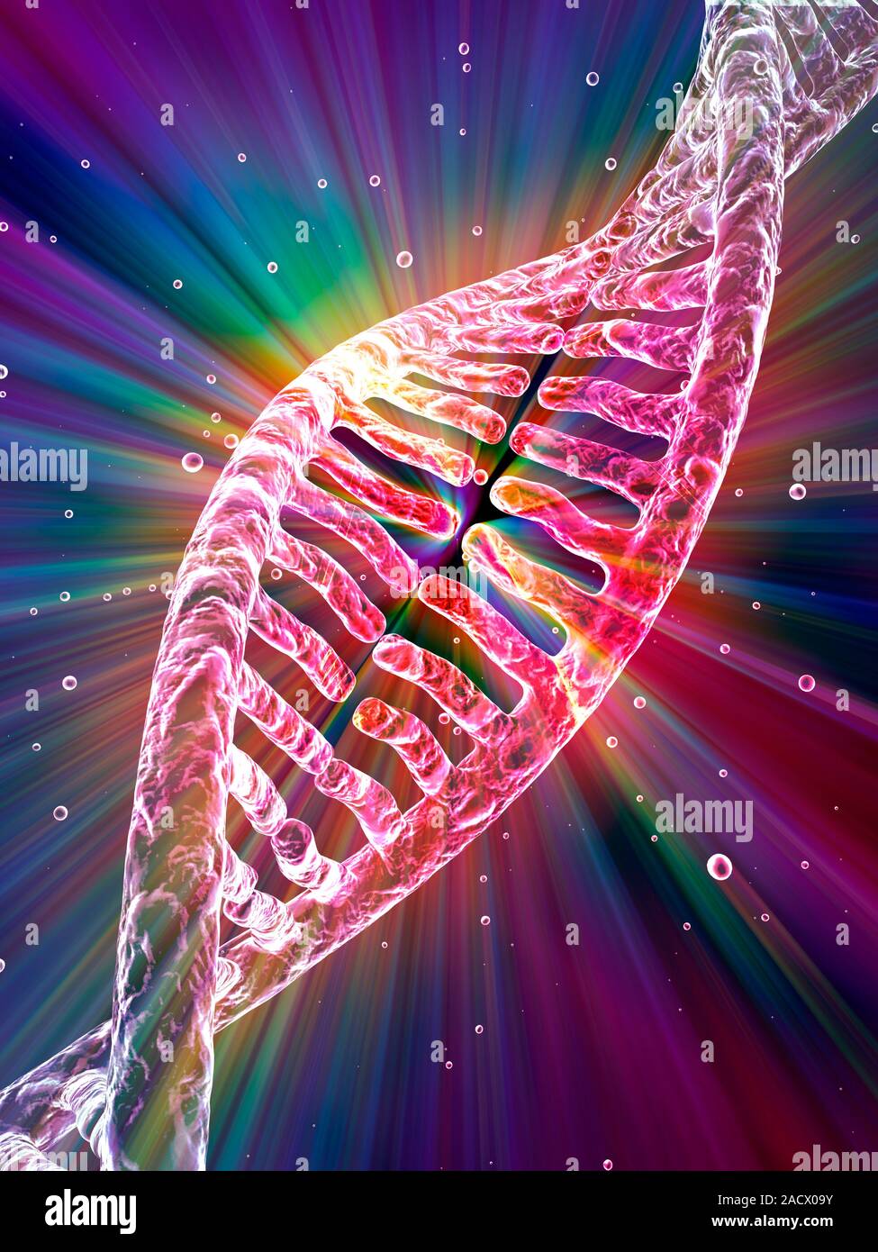 Stylized view of strands of human DNA or deoxyribonucleic acid ...