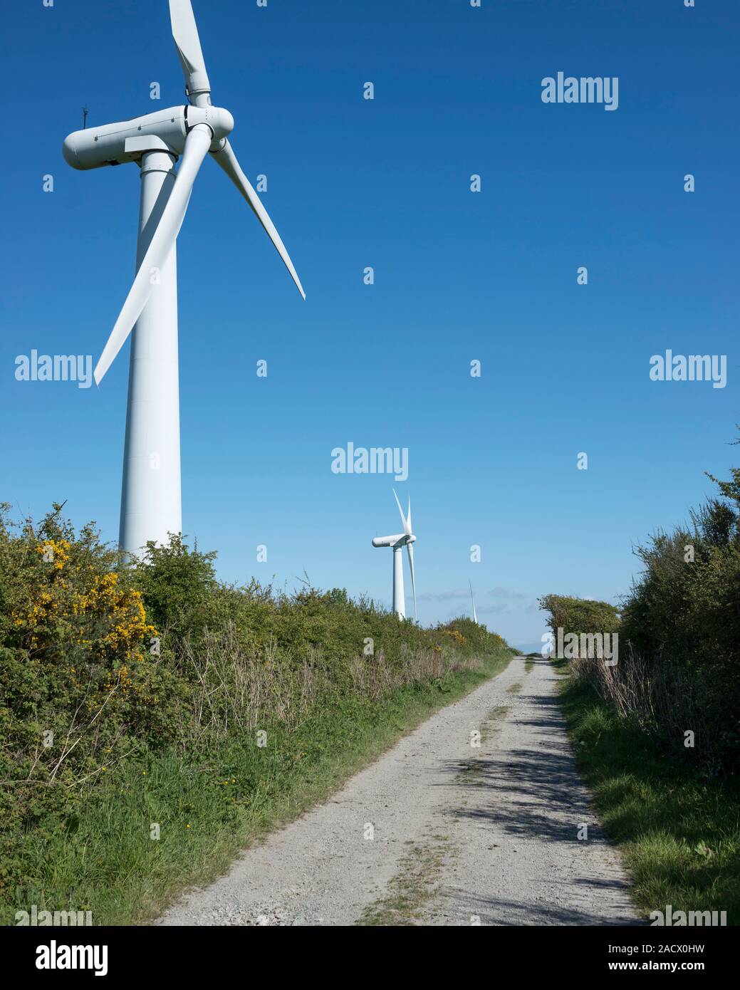 Wind turbines, Anglesey, Wales Stock Photo - Alamy