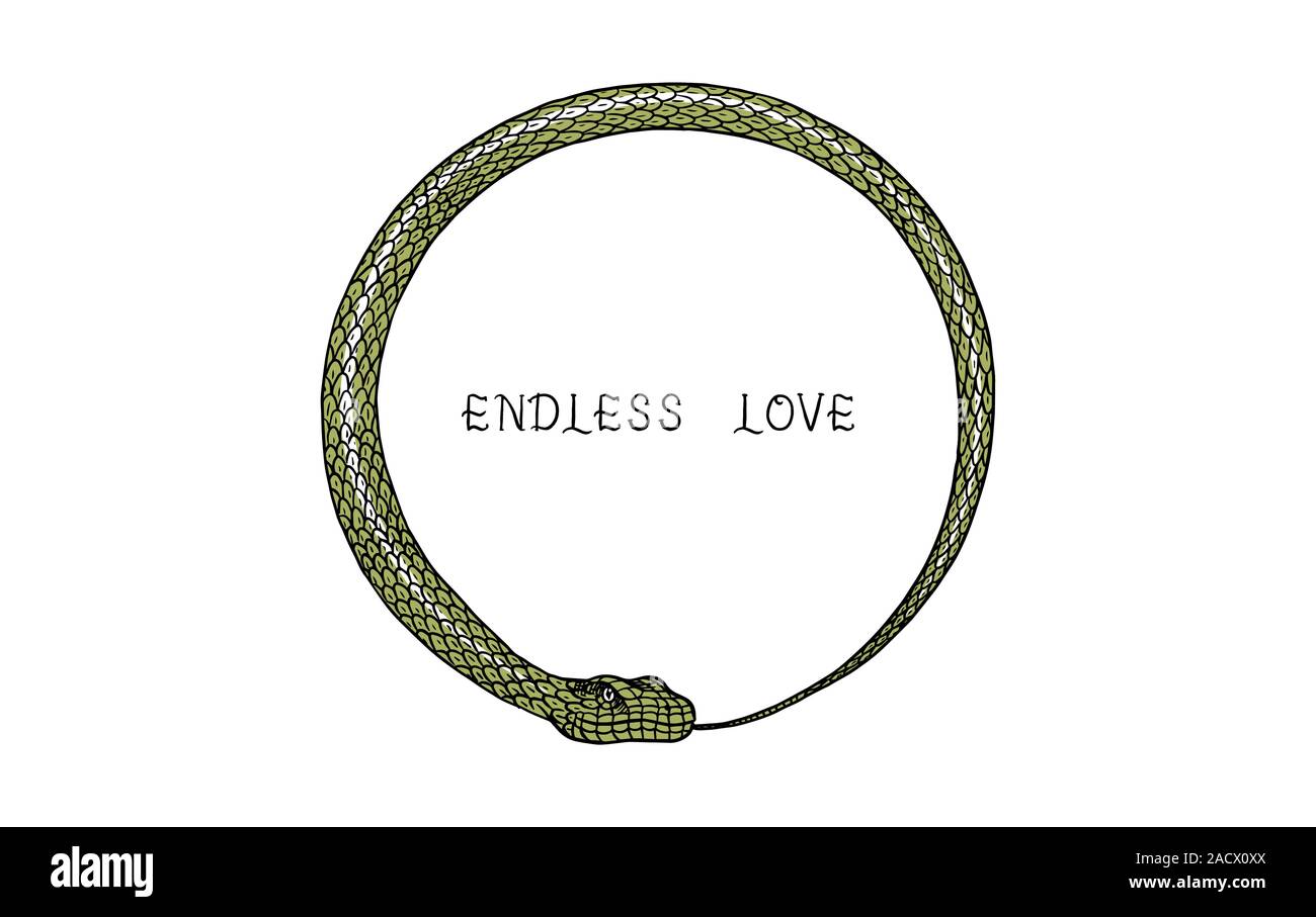 Circle snake in Vintage style. Serpent cobra or python or poisonous ...