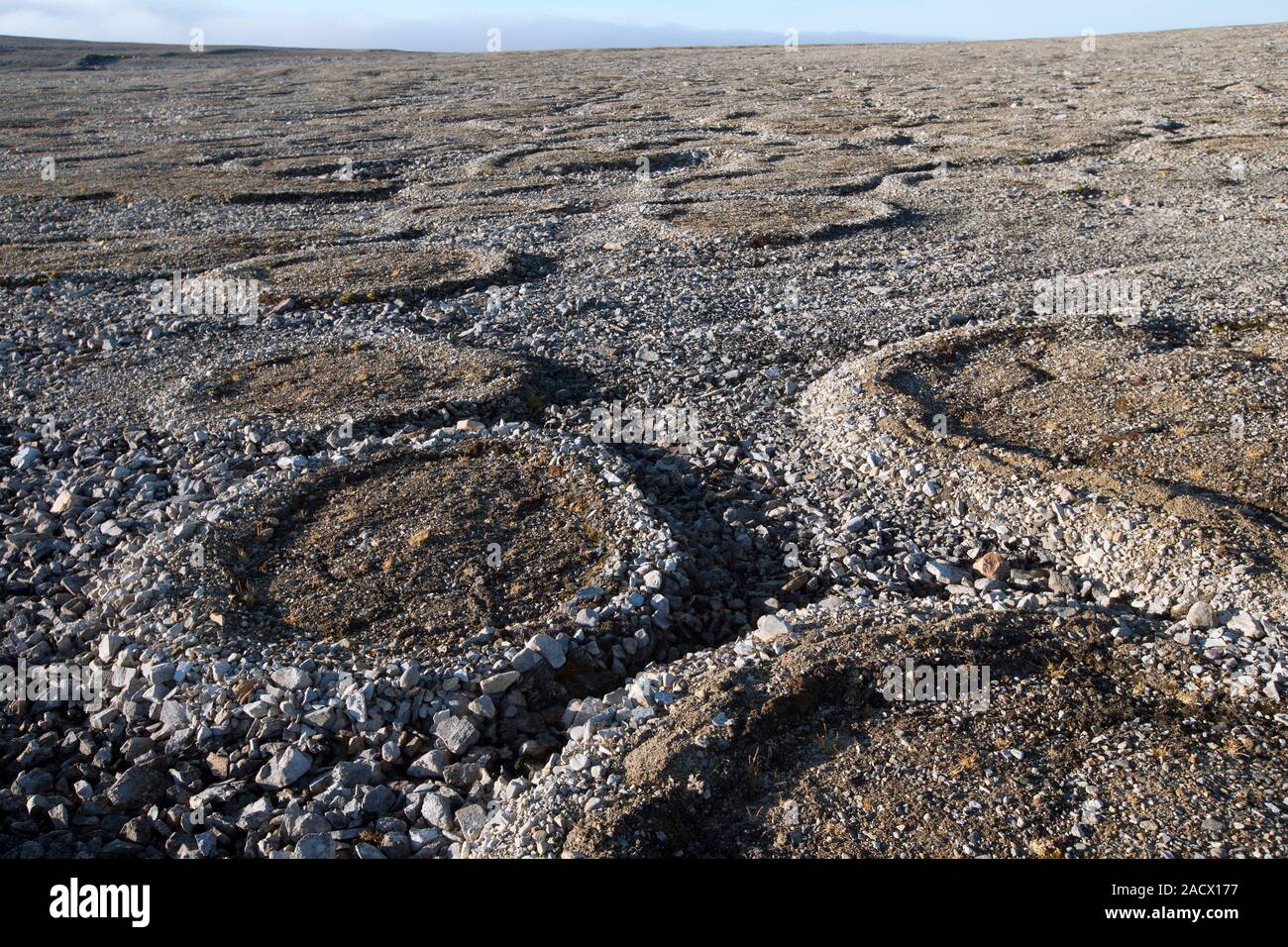 These rock polygons (approximately 2m in diameter) were formed by the ...