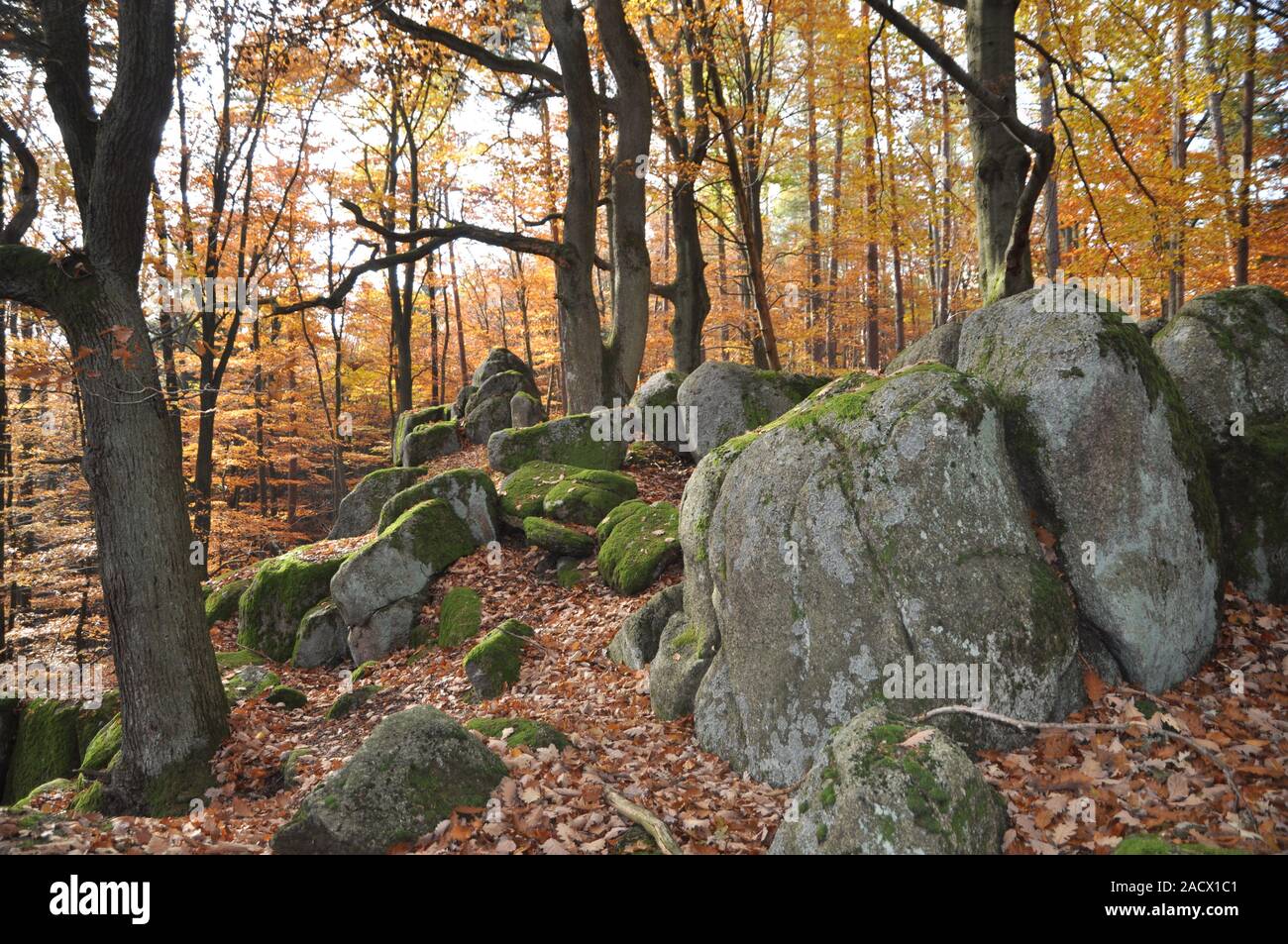 Steinau castle hi-res stock photography and images - Alamy