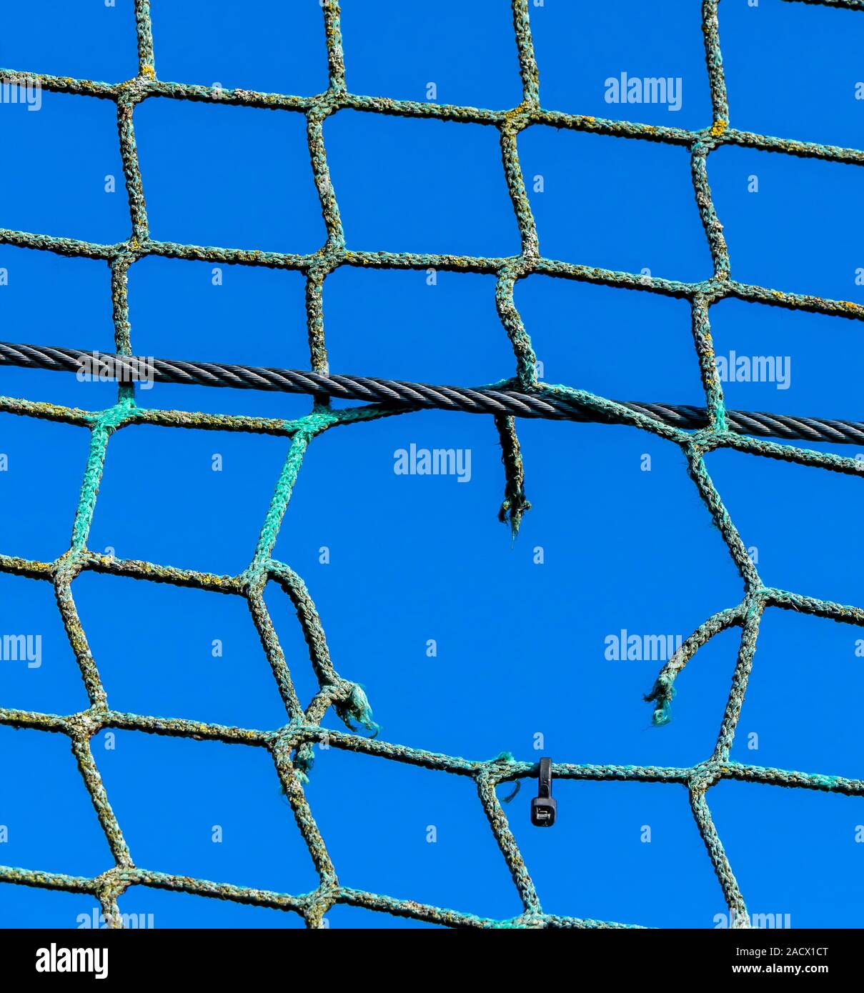 hole in a net Stock Photo - Alamy