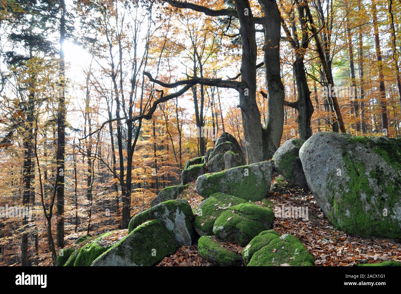 Steinau castle hi-res stock photography and images - Alamy
