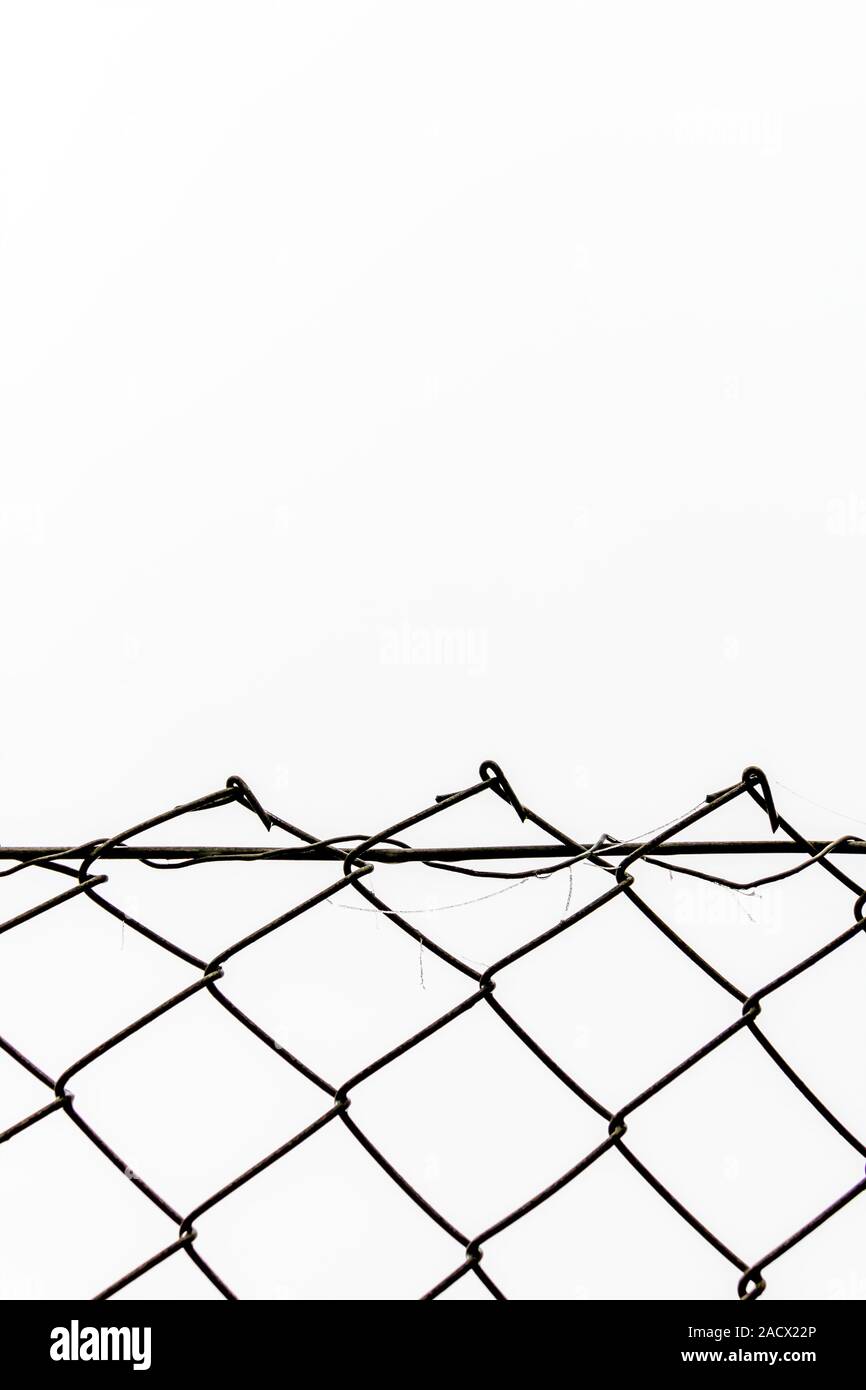 Wire mesh fence against a white background Stock Photo - Alamy