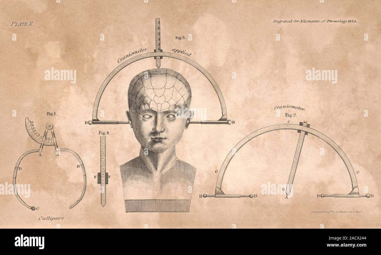 Phrenology measuring equipment. 19th-century artwork of various ...