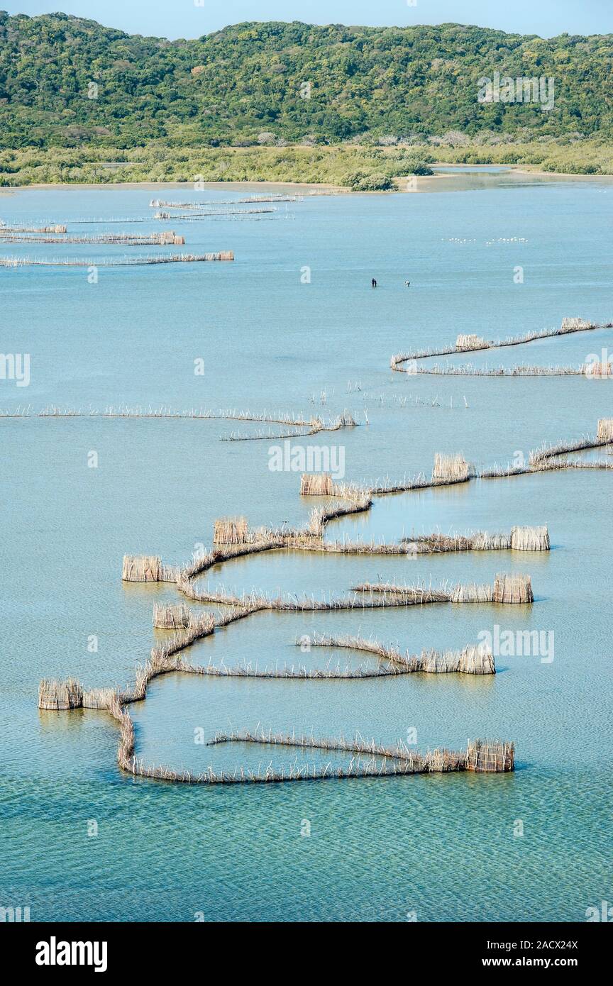 Tsonga fish traps in Kozi Bay. These are built to trap fish moving in ...