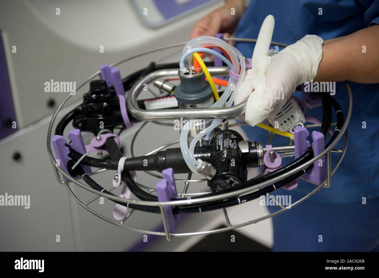 Endoscope being prepared for sterilisation (cleaning). The endoscope ...