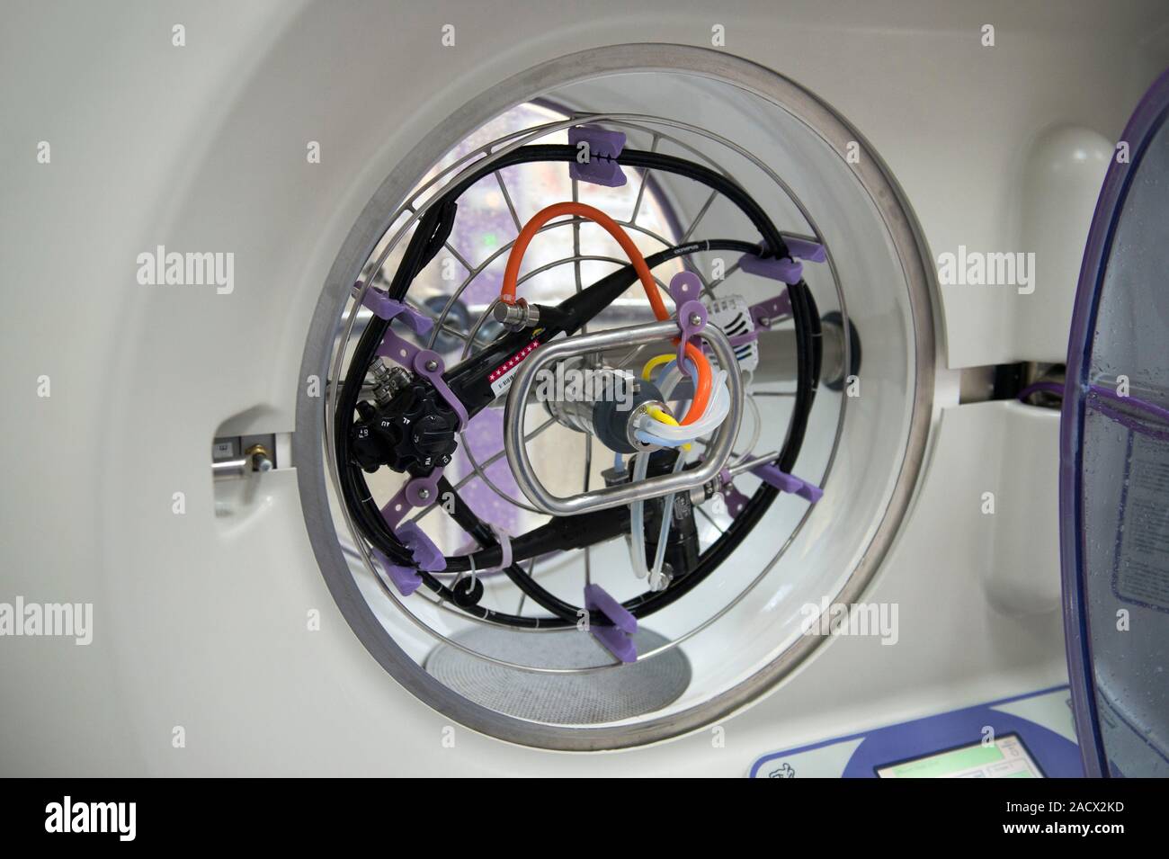 Endoscope being prepared for sterilisation (cleaning). The endoscope ...