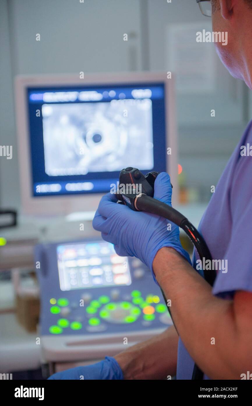 Doctor watching the screen while carrying out an endoscope examination ...