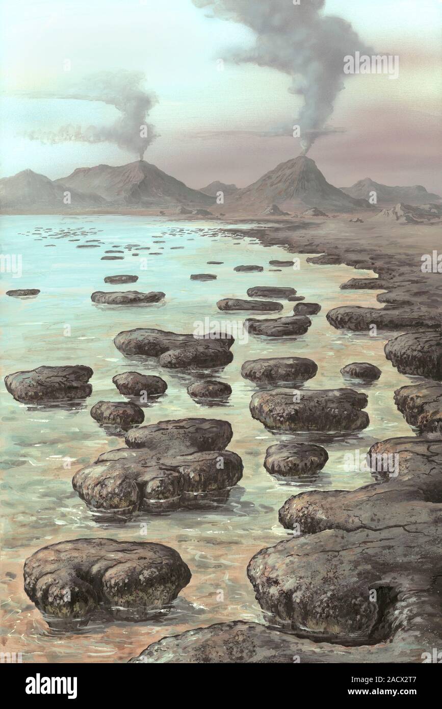 Stromatolite. Artwork of stromatolites on early Earth. Stromatolites ...