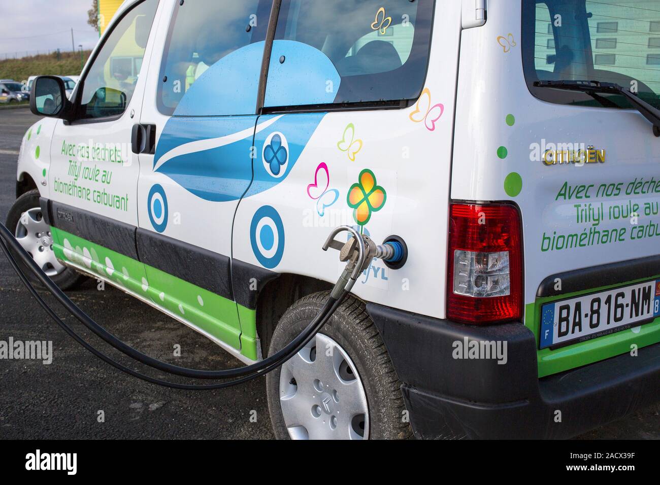 Biogas-powered car. Citroen Berlingo car being filled with biogas ...