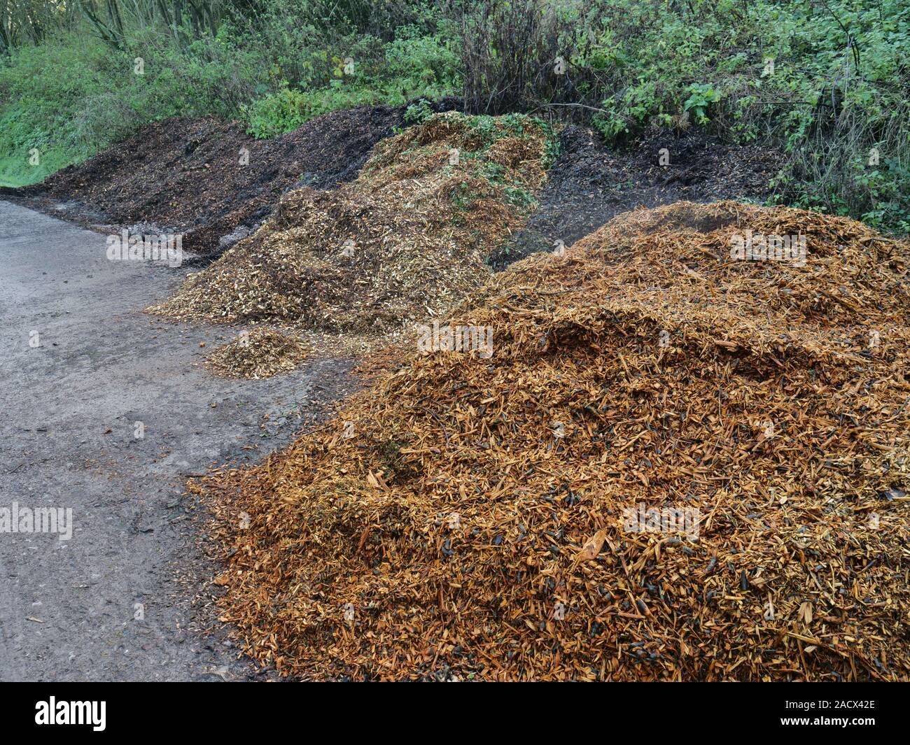 composting tree chippings Stock Photo - Alamy