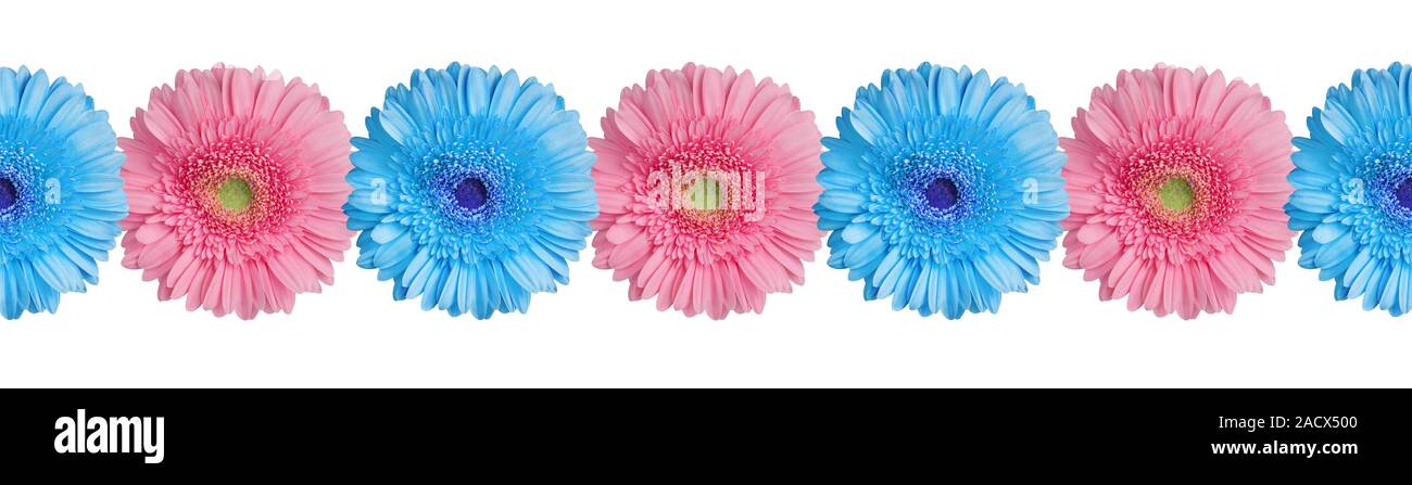 Pink And Blue Flowers Border