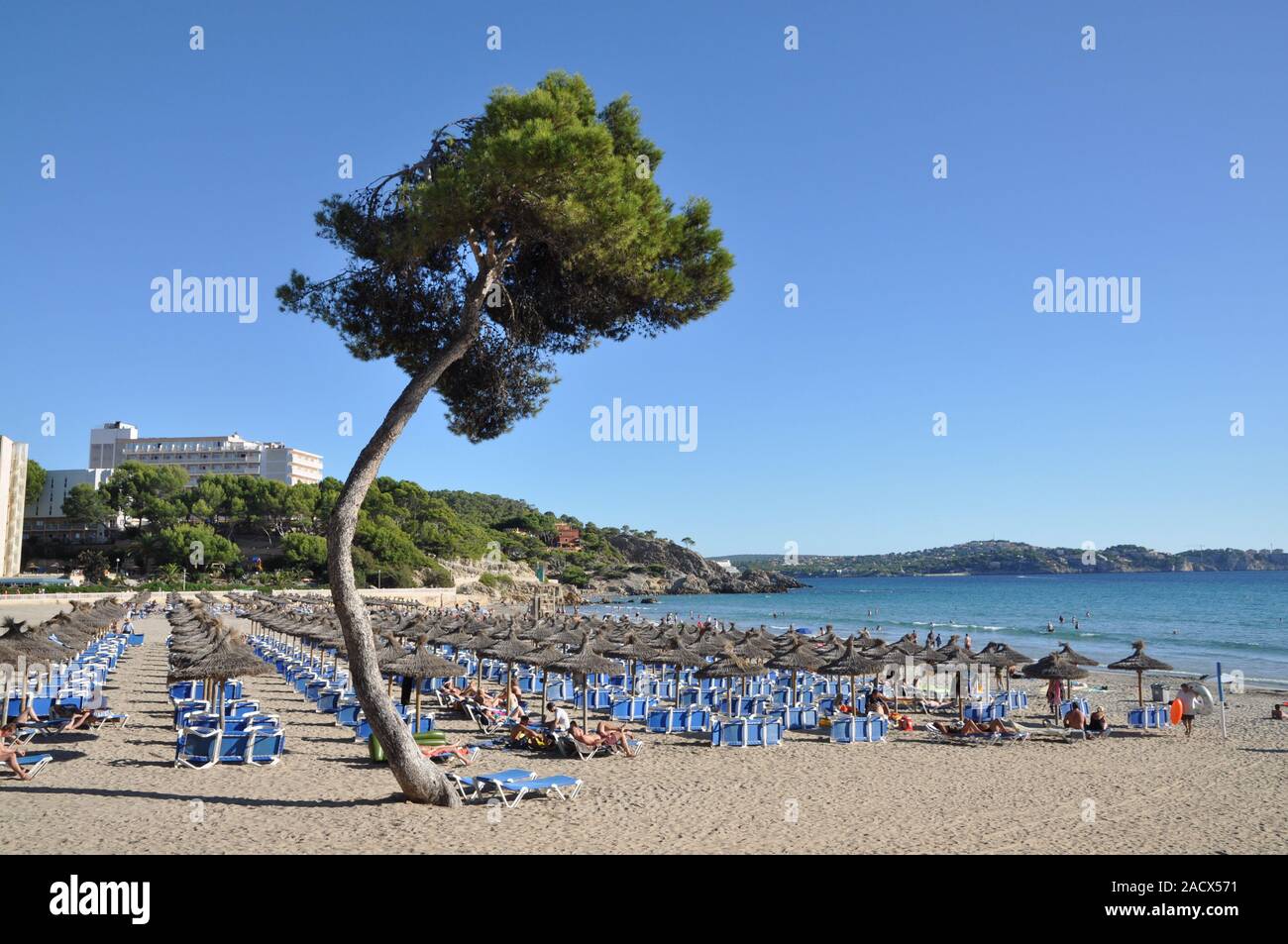 Peguera tora hi-res stock photography and images - Alamy