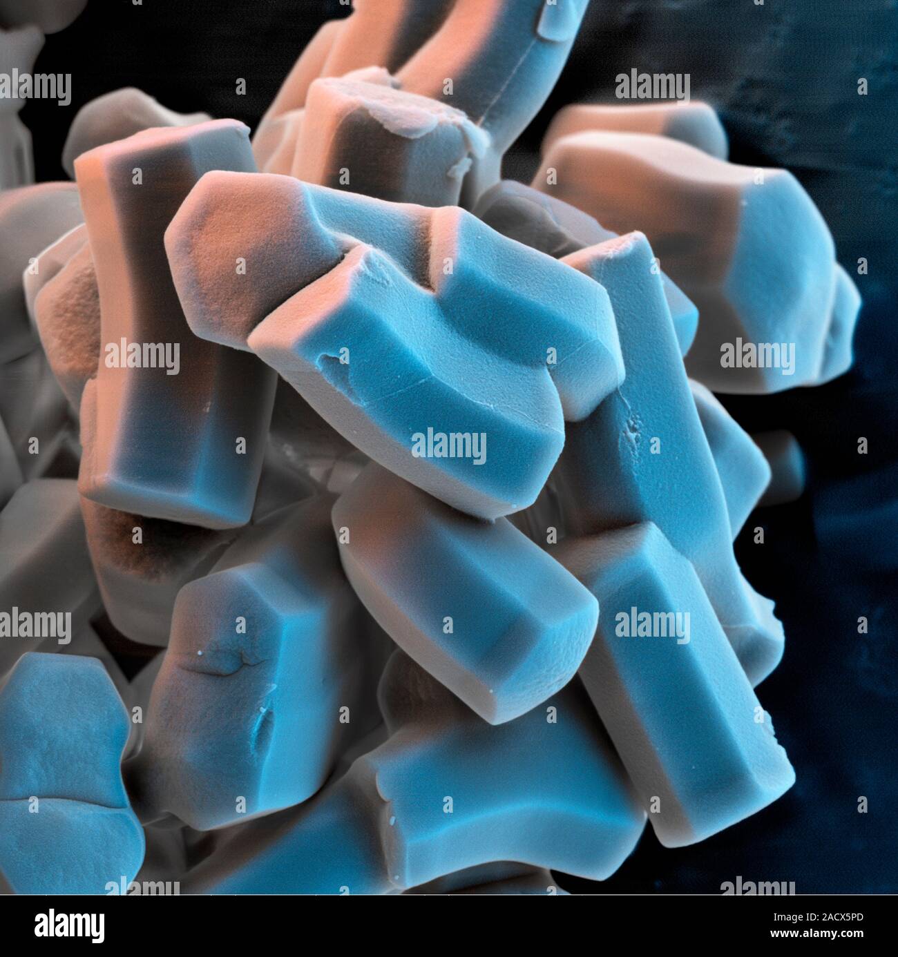 Nanoporous silica arrays. Coloured scanning electron micrograph (SEM ...