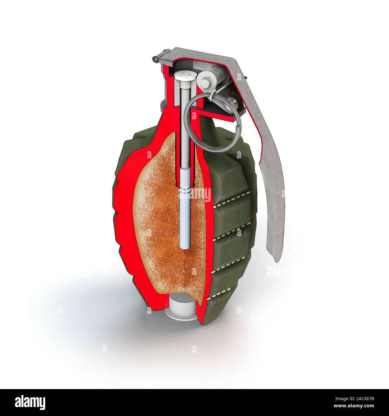 Mk 2 grenade, cutaway artwork. This grenade was used by the US Army ...