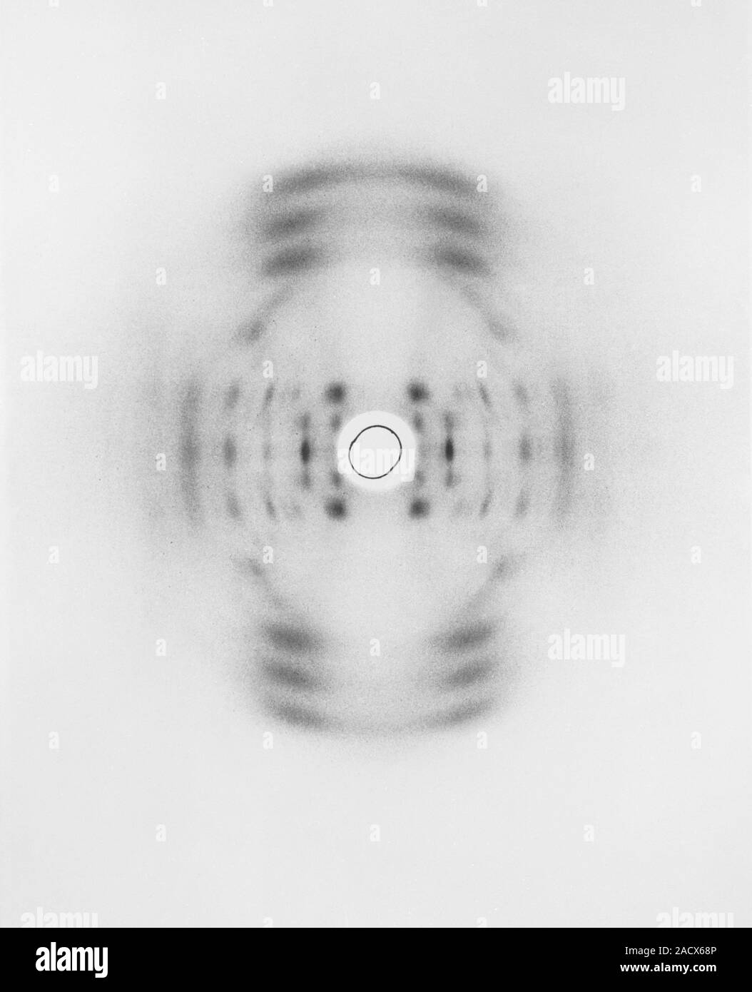 DNA research. X-ray crystallography diffraction pattern obtained in ...