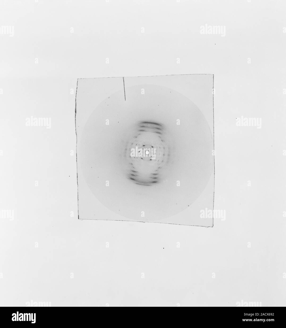 DNA research. X-ray crystallography diffraction pattern obtained in ...